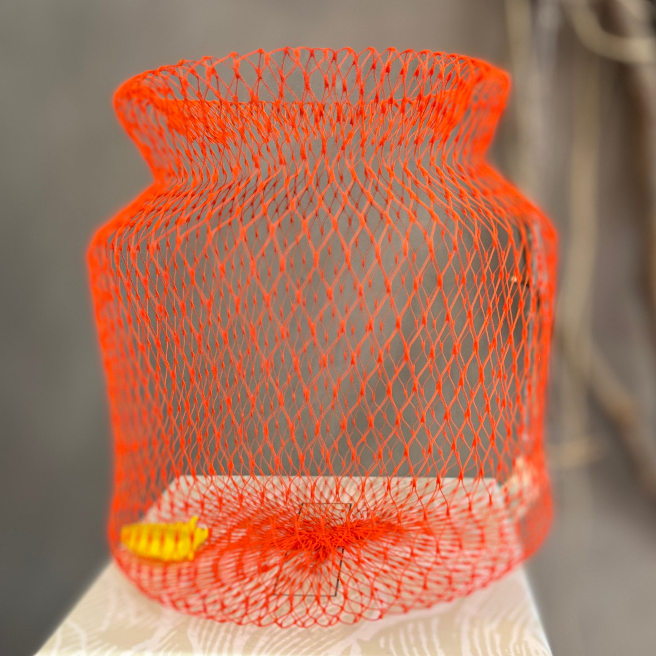 Fine net vessels (medium)– Pomme
